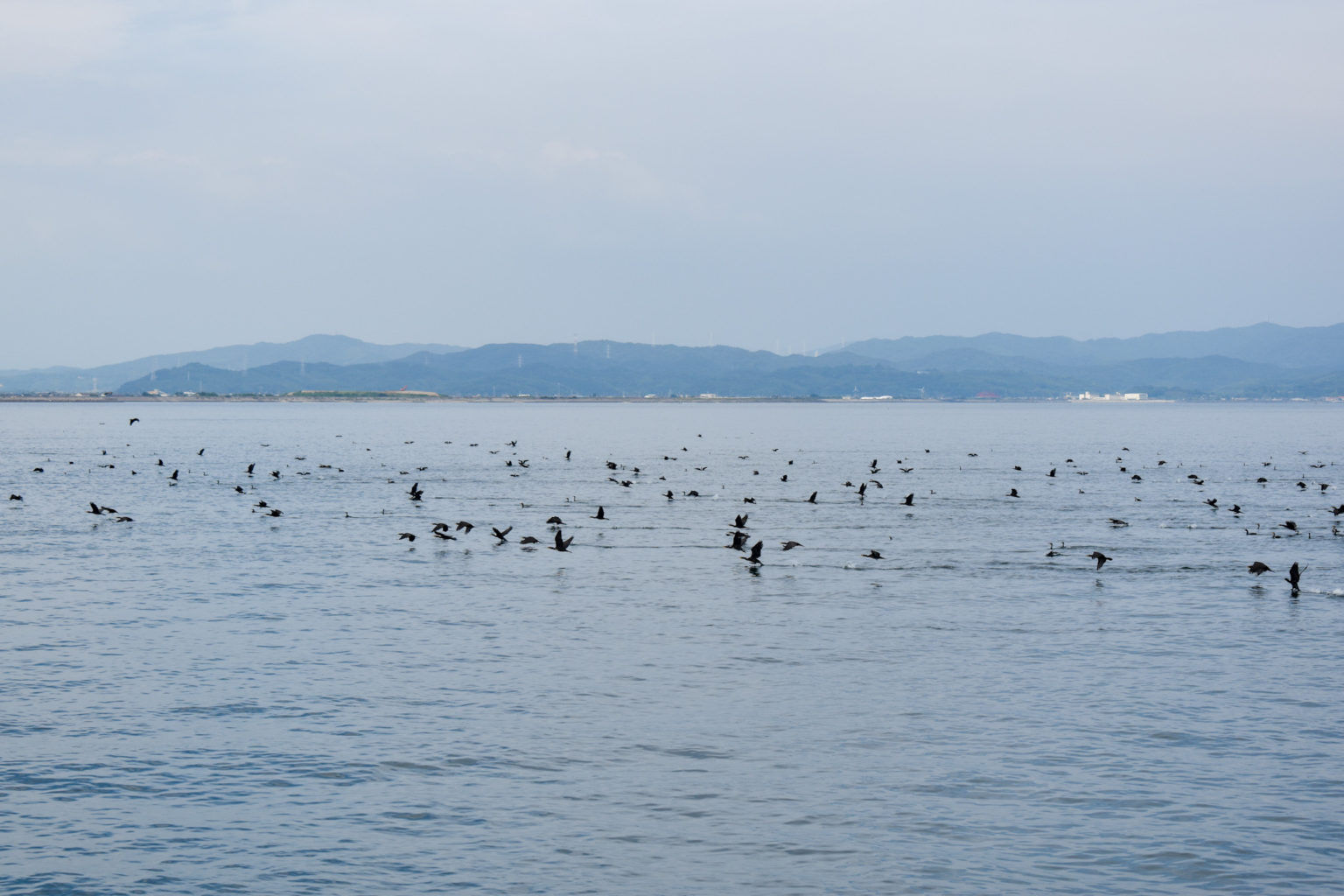 SAKUSHIMA: EXPLORANDO A ILHA DA ARTE EM AICHI | DIA A DIA